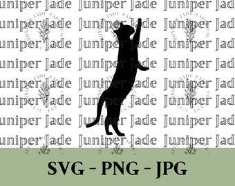 Cat Reaching Svg - Etsy