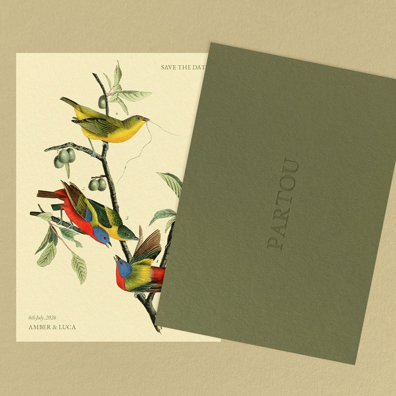 Save the Date Bird Theme - Etsy