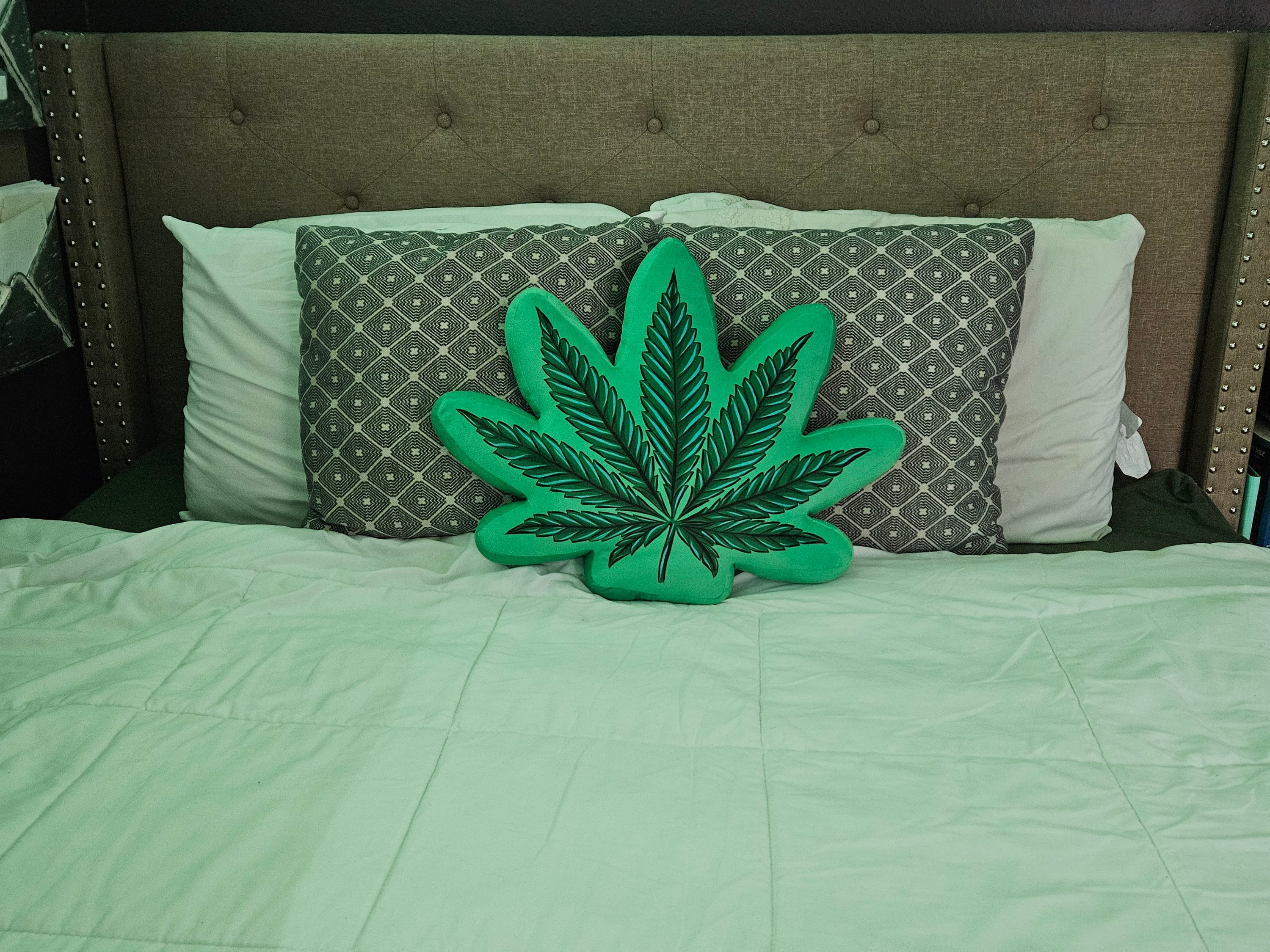 Marijuana Weed Throw Pillow Pot Leaf Rasta Funky Funny Room Decor Gift ...