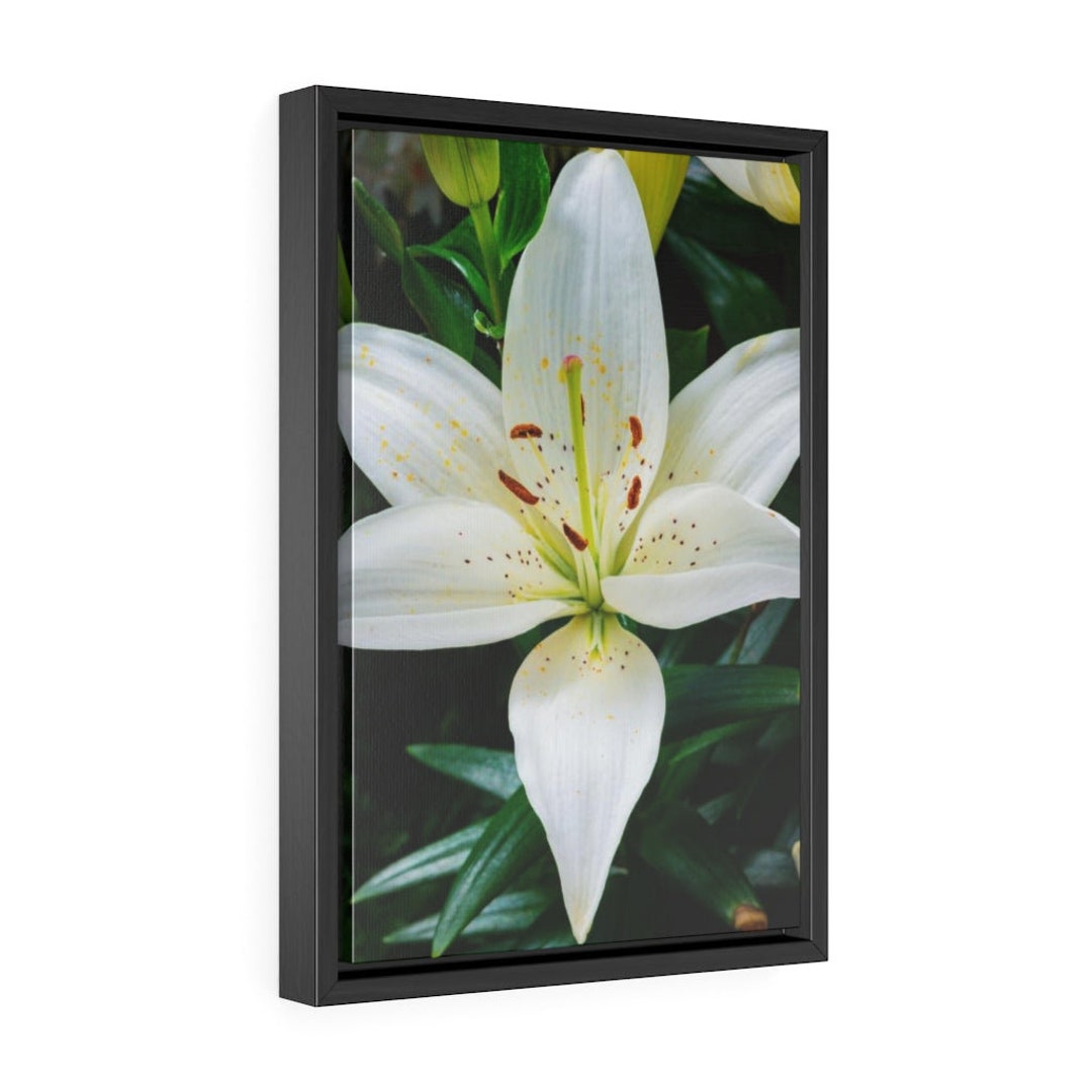 White Lily - Canvas With Frame - Etsy