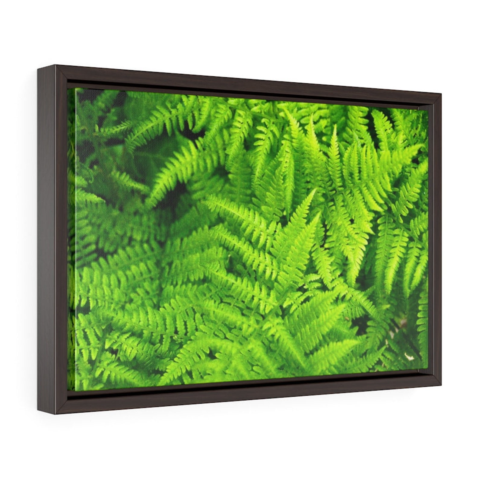 Ferns, Ferns, Ferns - Canvas With Frame - Etsy