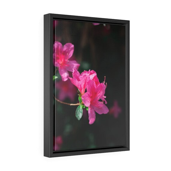 Standout Azalea Canvas With Frame - Etsy