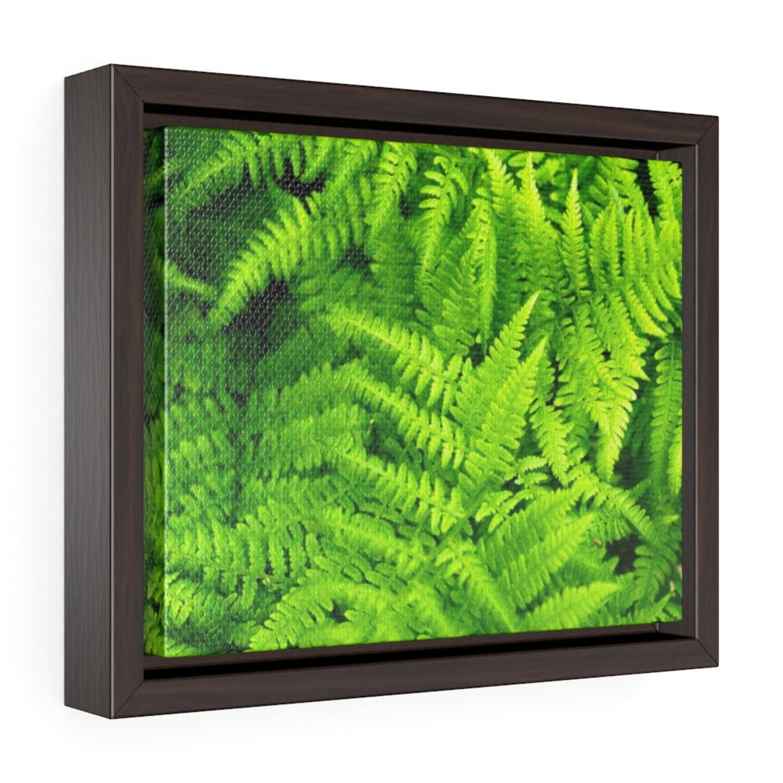 Ferns, Ferns, Ferns - Canvas With Frame - Etsy