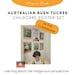 Australian Bush Tucker Poster Set for Early Learning, Childcare ...