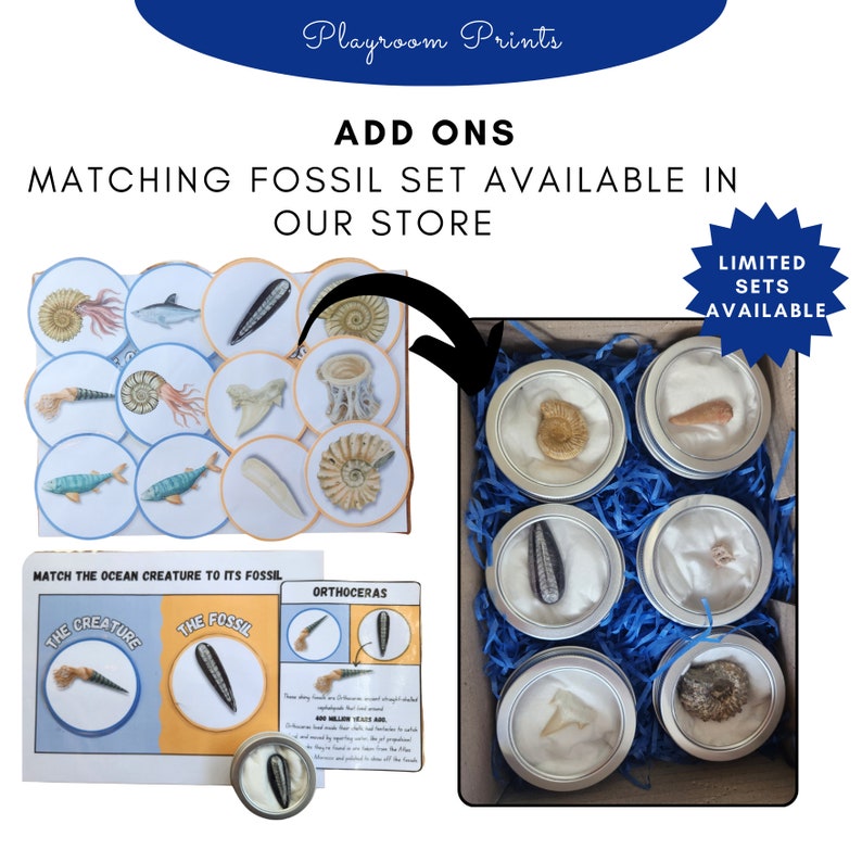 Printable Ocean Fossil Matching Game - Palaeontology Activity for Kids ...