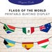 Flags of the World Printable Bunting Display Banner for Global Events ...