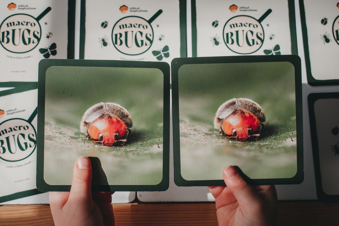 Macro Bugs Memory Cards - Fun and Educational Insect Game for Kids ...