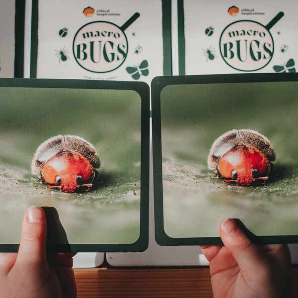 42 Outdoor Activity Cards for Kids: Nature Play, Garden Games ...