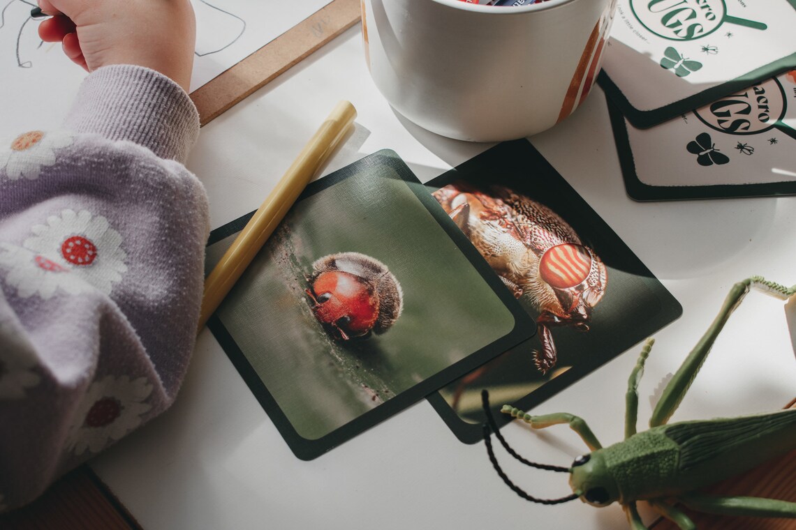 Macro Bugs Memory Cards Fun and Educational Insect Game for Kids - Etsy ...
