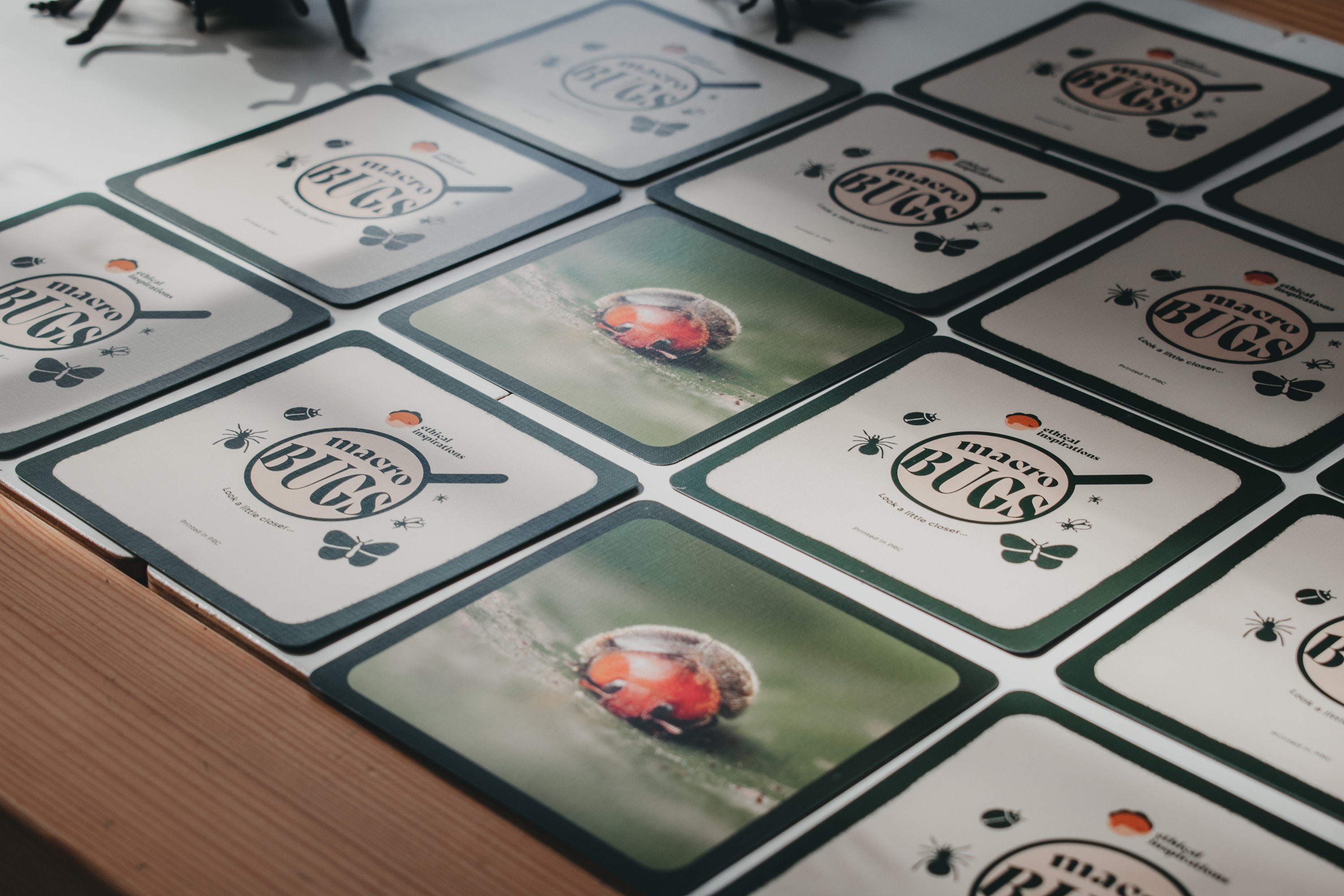 Macro Bugs Memory Cards - Fun and Educational Insect Game for Kids ...