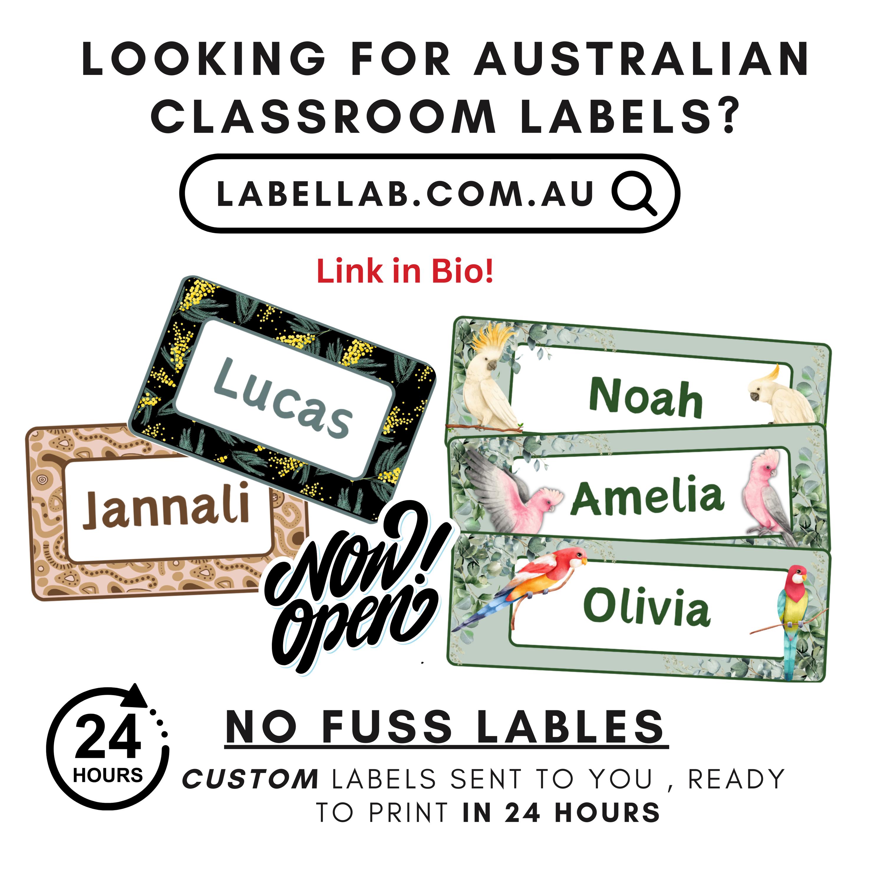 Aboriginal Flag Craft & Poster Info Set , Printable NAIDOC Week ...