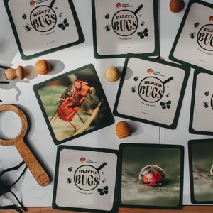 Macro Bugs Memory Cards - Fun and Educational Insect Game for Kids ...