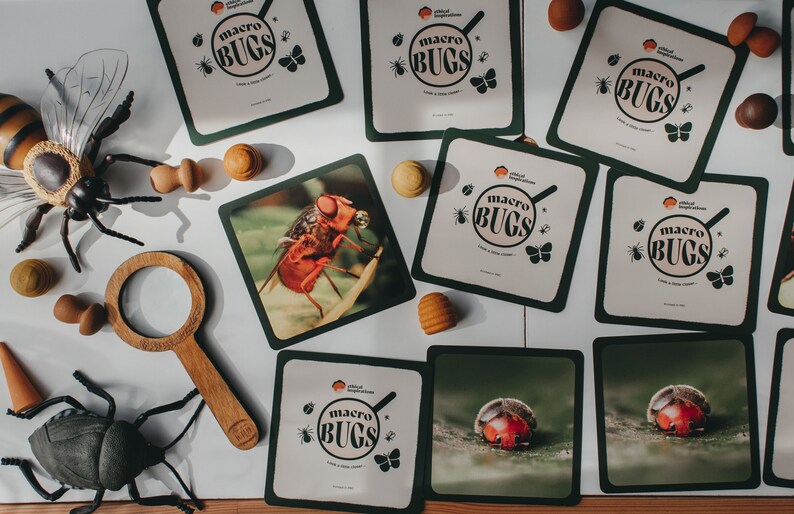 Macro Bugs Memory Cards Fun and Educational Insect Game for Kids - Etsy ...