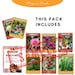 Australian Bush Tucker Poster Set for Early Learning, Childcare ...