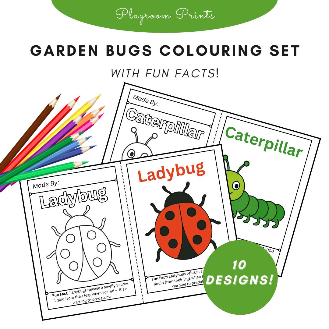 Garden Bugs Colouring Pages With Fun Facts – 10 Printable Insect ...