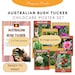 Australian Bush Tucker Poster Set for Early Learning, Childcare ...