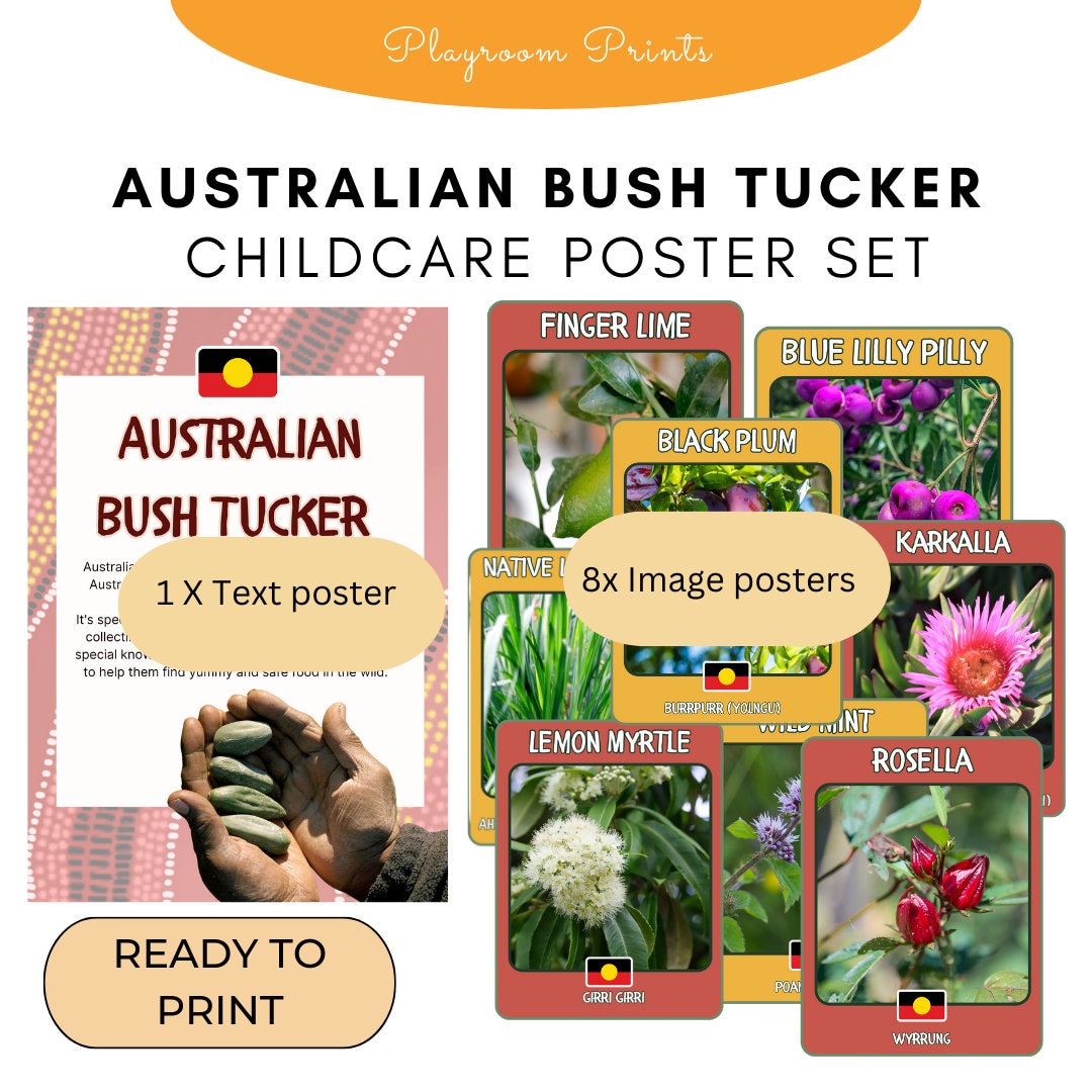 Australian Bush Tucker Poster Set for Early Learning, Childcare Aboriginal Poster Set ...