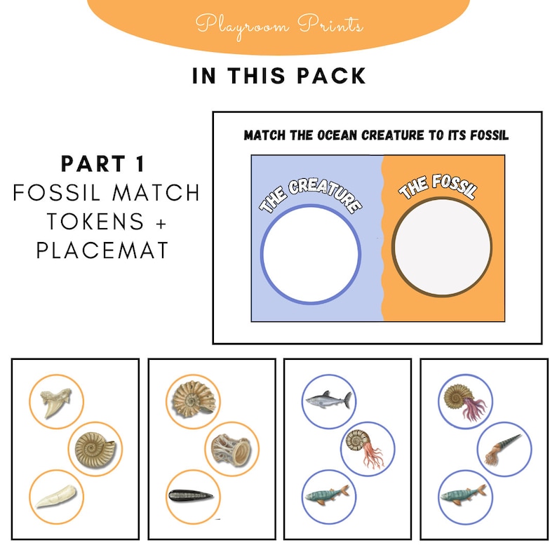 Printable Ocean Fossil Matching Game - Palaeontology Activity for Kids! Classroom, Preschool ...