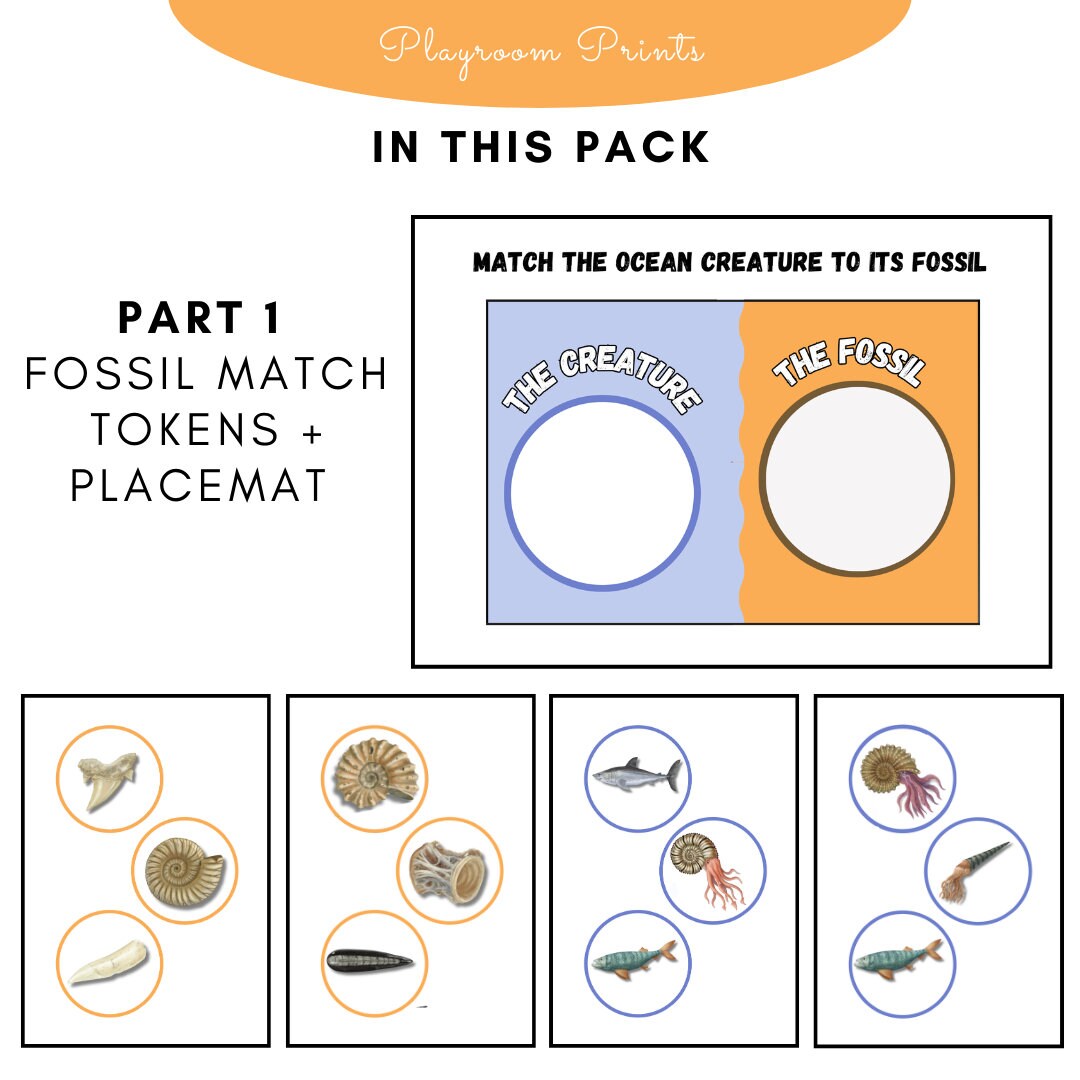 Printable Ocean Fossil Matching Game - Palaeontology Activity for Kids ...
