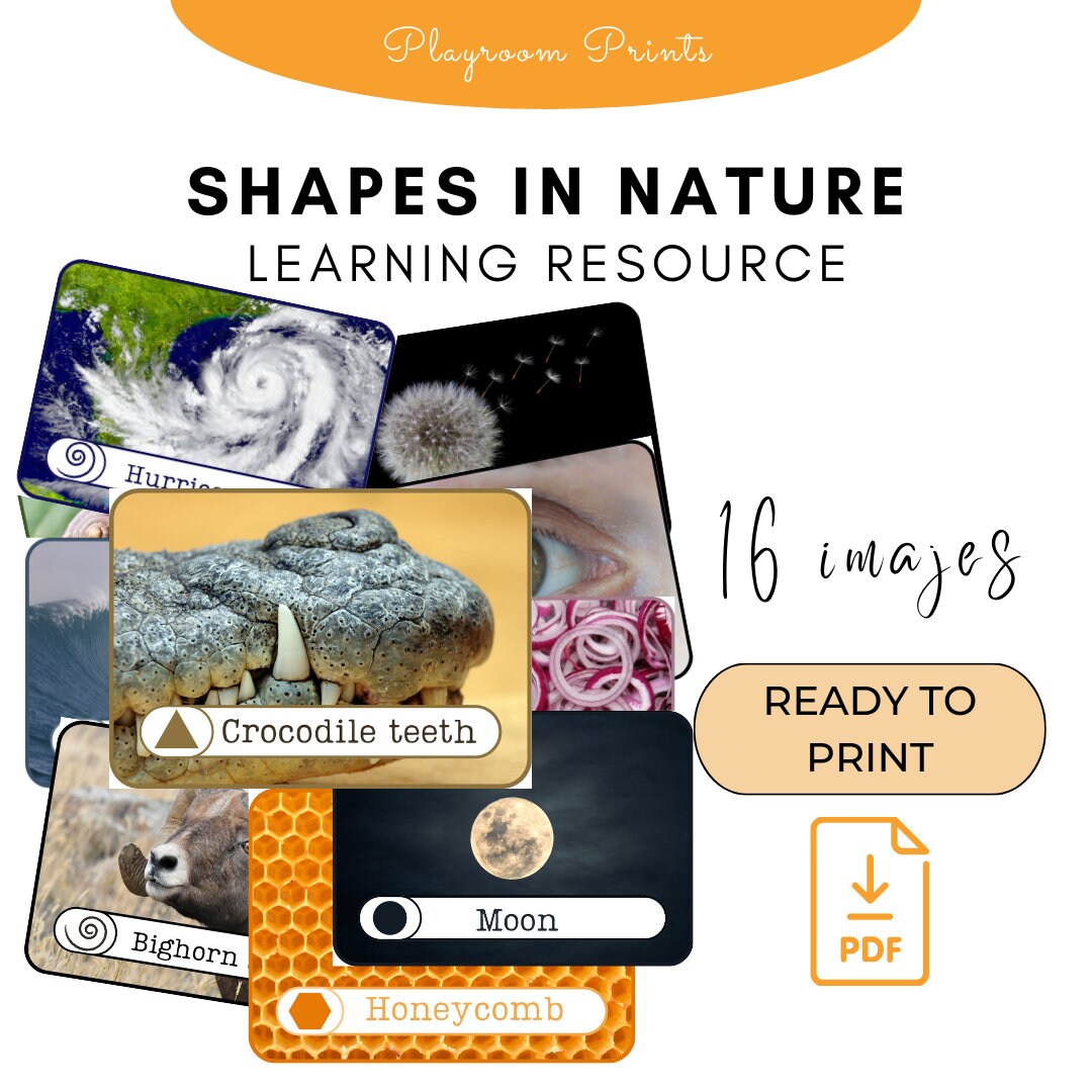 Nature-inspired Shapes Printable Set Educational Learning Resource for ...