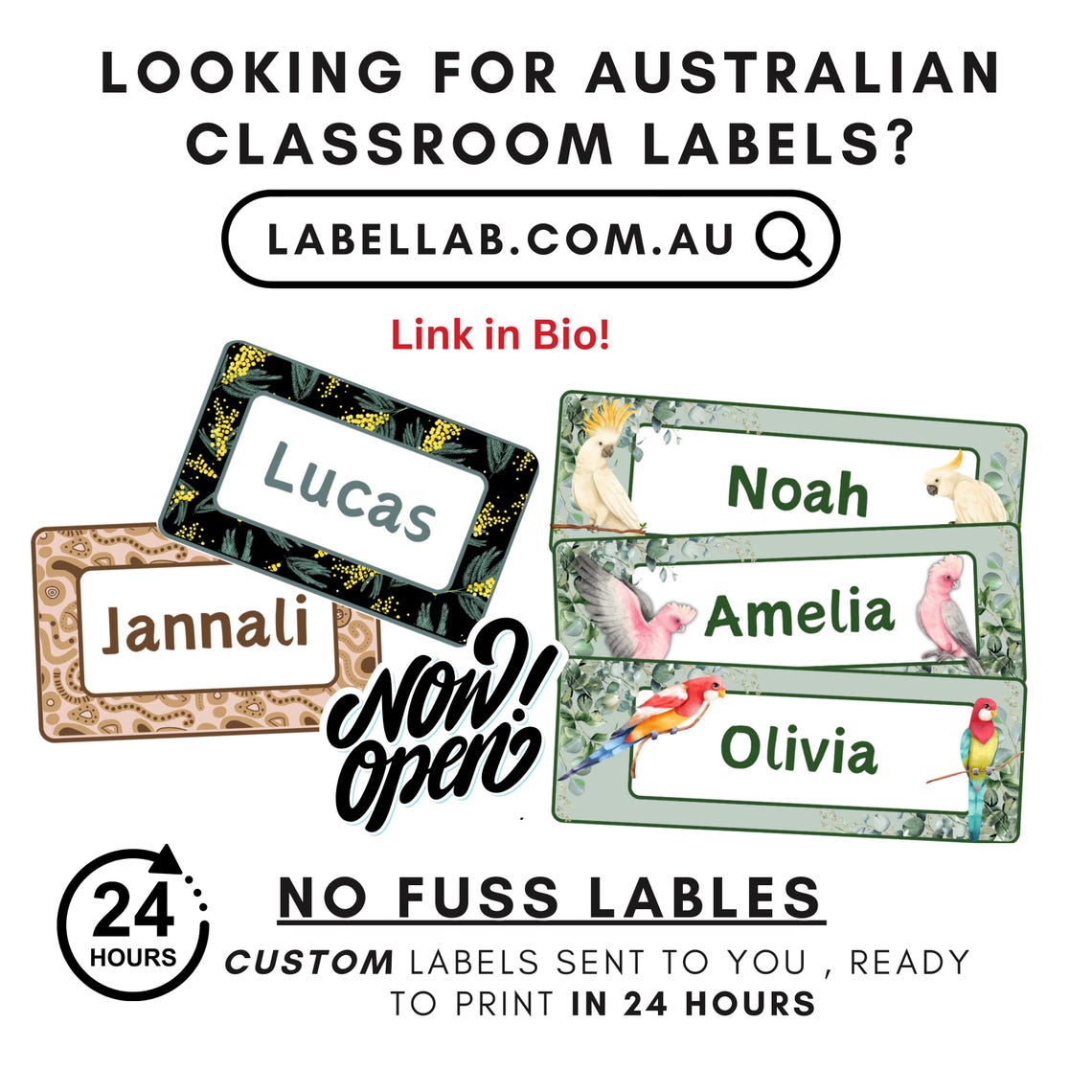 Australian Bush Tucker Poster Set for Early Learning, Childcare ...