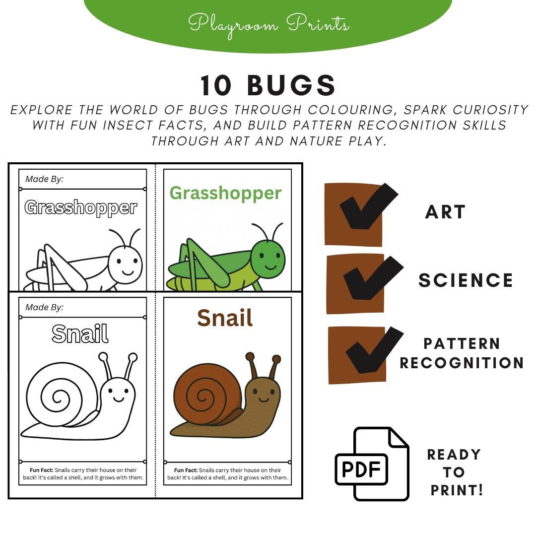 Garden Bugs Colouring Pages With Fun Facts – 10 Printable Insect ...