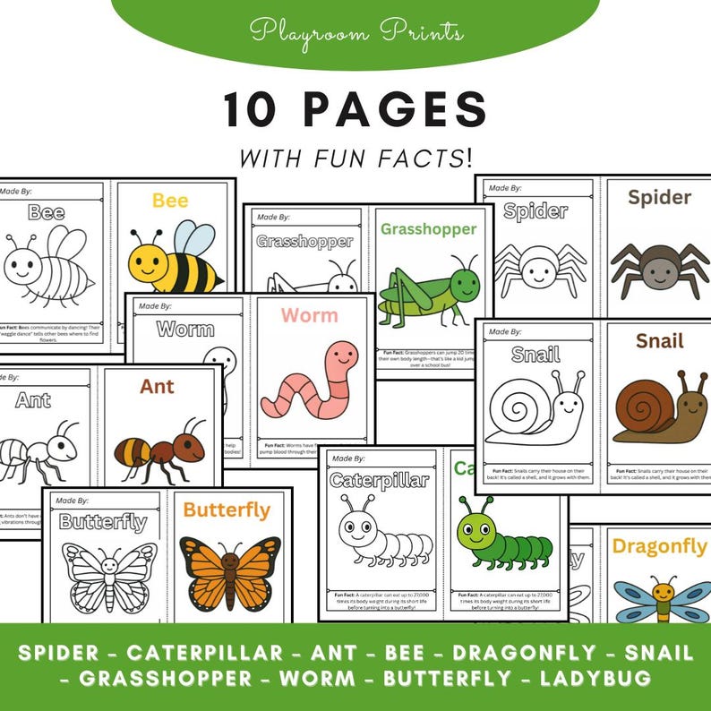 Garden Bugs Colouring Pages With Fun Facts – 10 Printable Insect ...