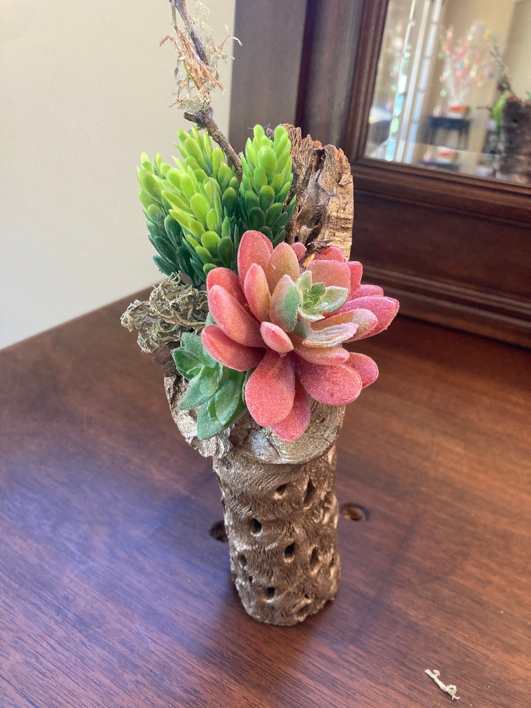 Succulent and Cholla Cactus Arrangement, Office Decor, Driftwood, Home ...