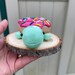 Donut Turtle - Etsy