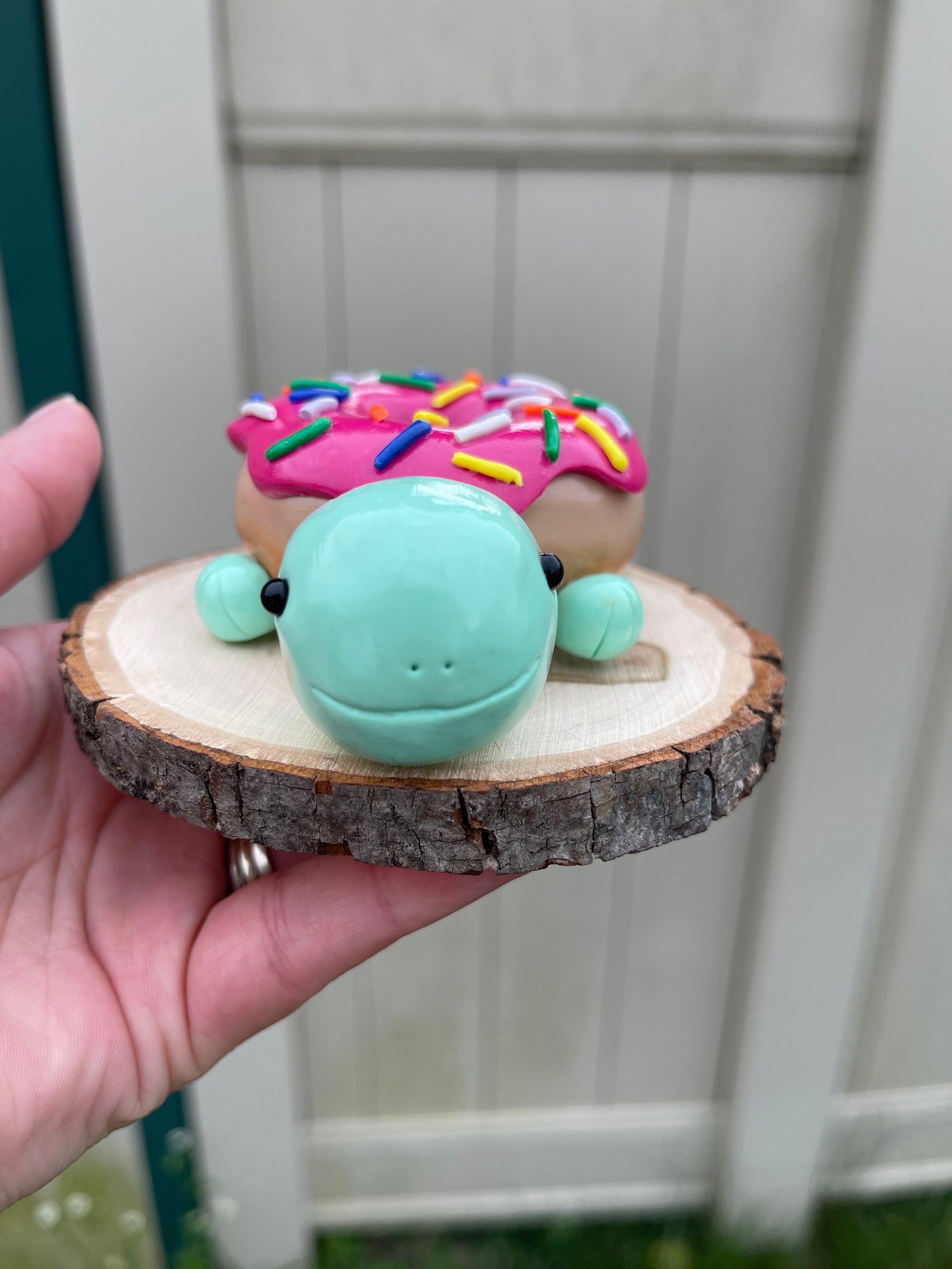Donut Turtle - Etsy