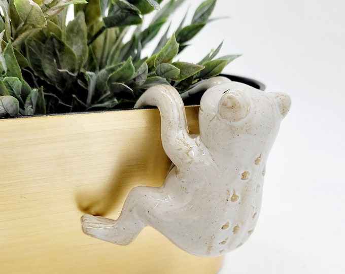 Frog Pot Hugger for Succulent Planter Gardening Gifts - Etsy