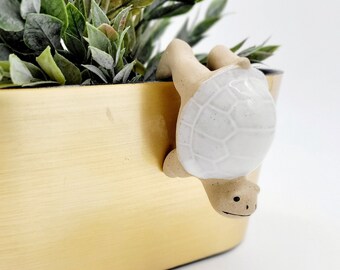 Cute Animal Planters Turtle Succulent Planter Indoor Planter Air Plant ...