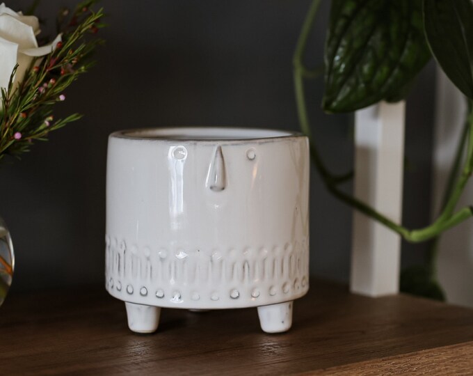 Picasso Face Planter for Cacti • Footed Abstract Face Planter for ...
