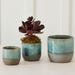 Dandelion Planter Pots With Drainage Set | Glazed Planters and Pots ...