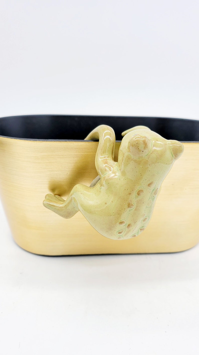 Frog Pot Hugger for Succulent Planter Gardening Gifts - Etsy