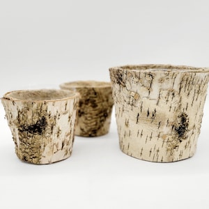 Wooden Birch Tree Plant Pots • Boho Farmhouse Planter Pot • Indoor ...