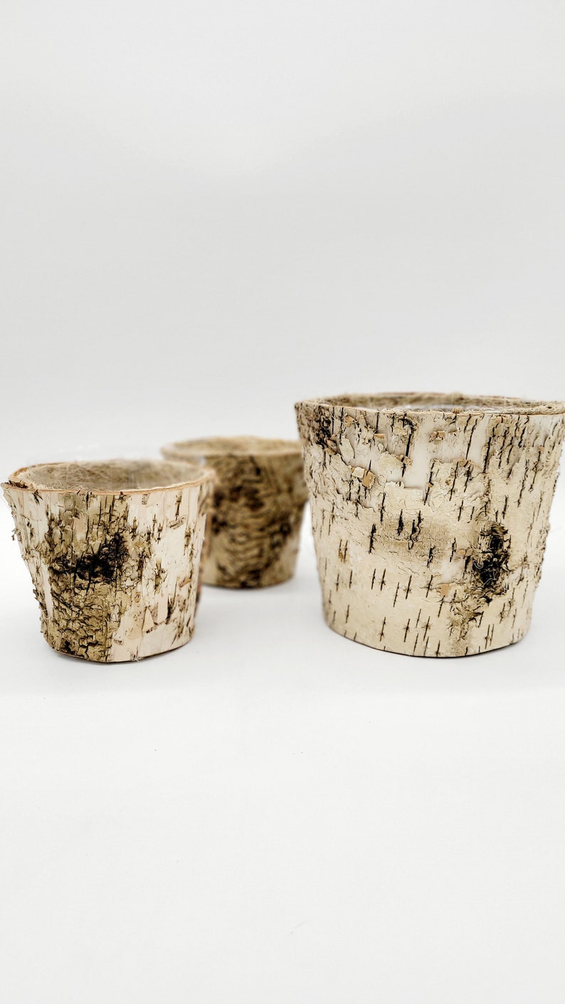Wooden Birch Tree Plant Pots • Boho Farmhouse Planter Pot • Indoor ...