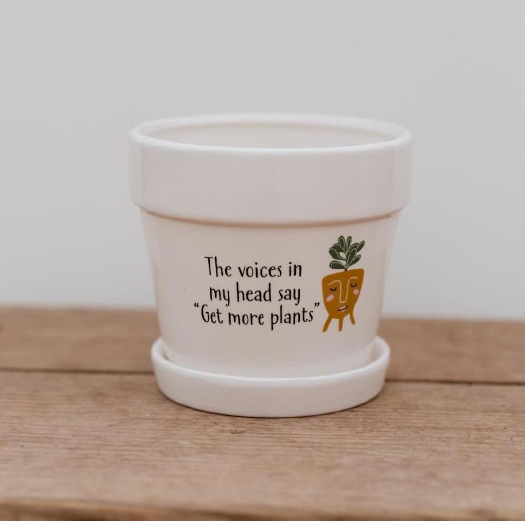 5" White Funny Planter • Ceramic Planter With Drainage and Saucer ...