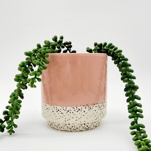Custom Business Logo Planter Personalized Company Gift for Co Worker ...