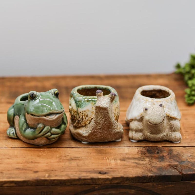 Frog Planter - Etsy
