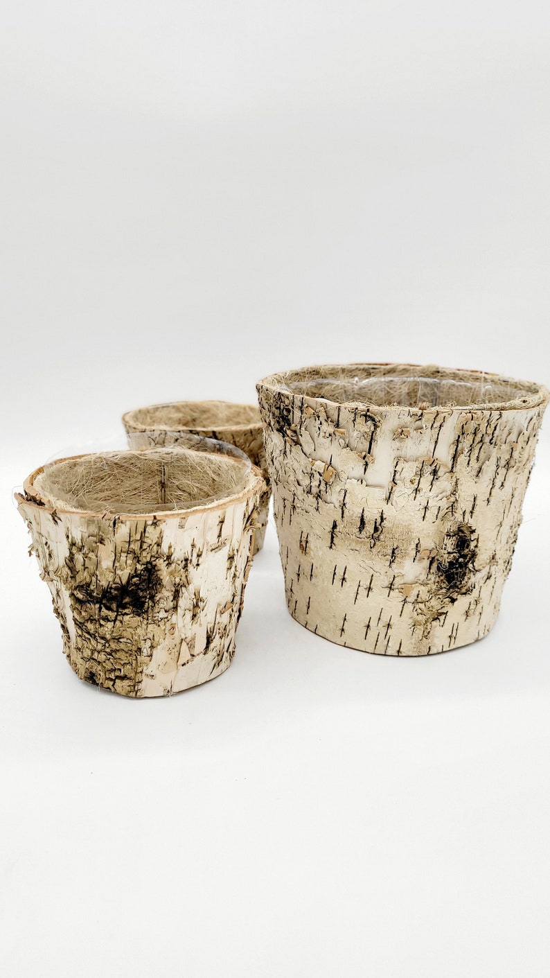 Wooden Birch Tree Plant Pots Boho Farmhouse Planter Pot - Etsy