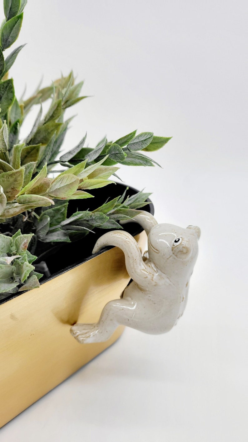 Frog Pot Hugger for Succulent Planter Gardening Gifts - Etsy