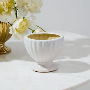 White Ceramic Planter Compote • Modern Indoor Planter • Plant Lover ...