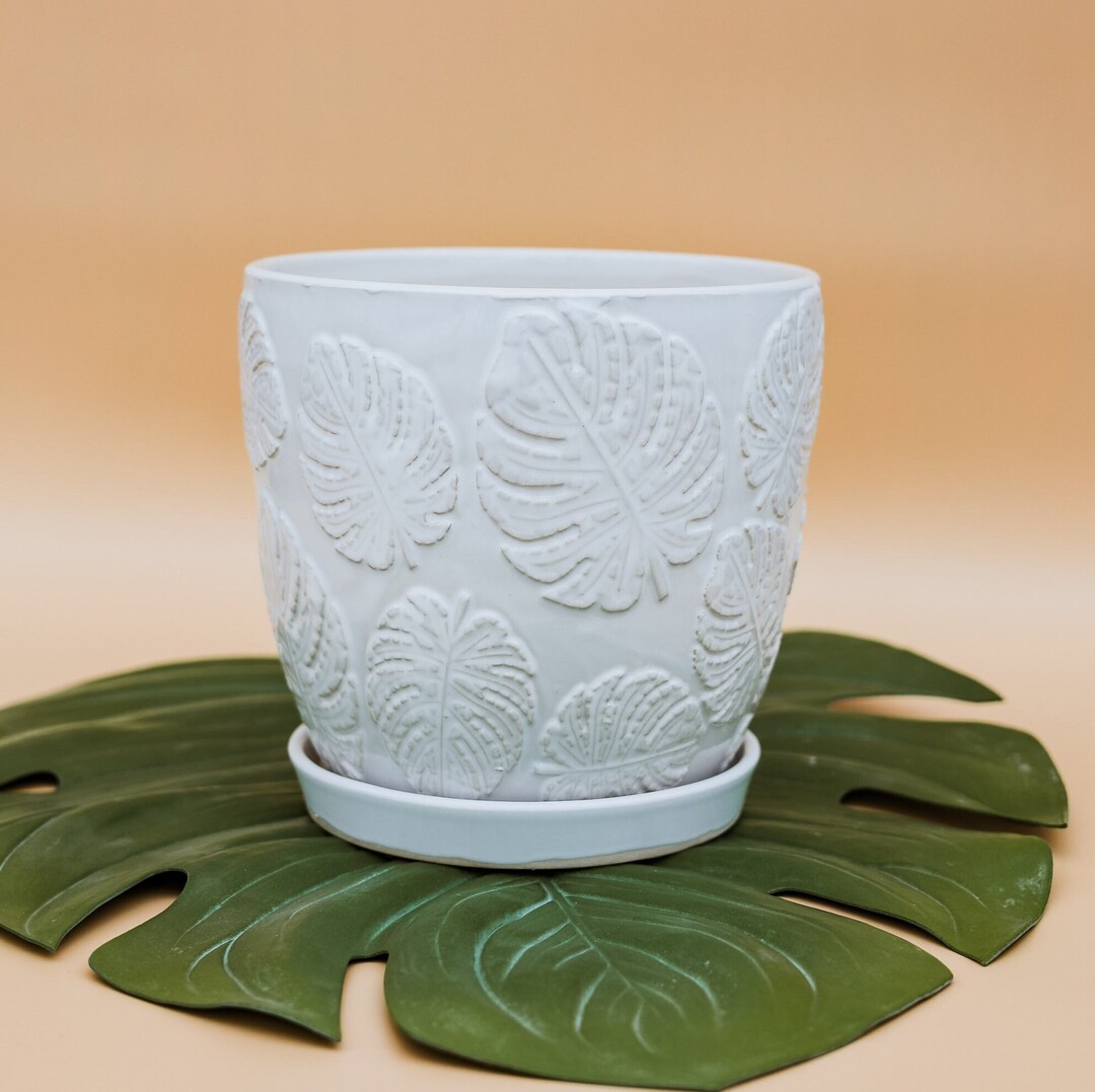 7.5" White Monstera Planter Pot With Drainage Hole • Modern Plant Pot ...