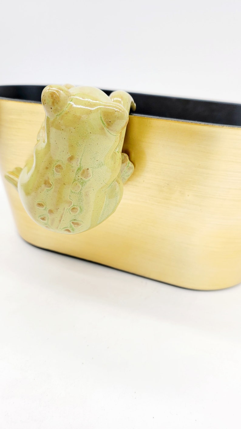 Frog Pot Hugger for Succulent Planter Gardening Gifts - Etsy