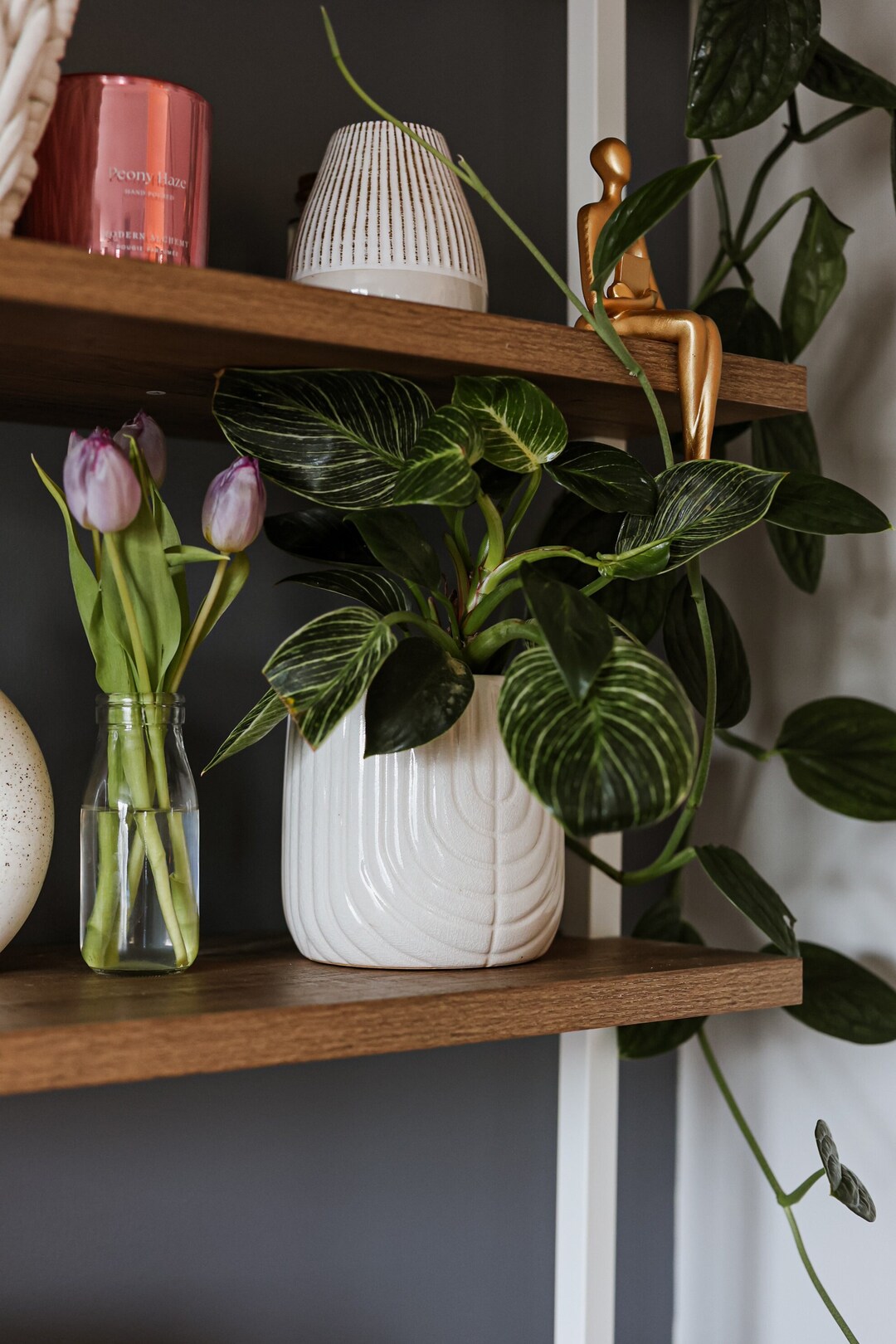 6 Inch White Ceramic Plant Pot for 6 Inch Plants • Farmhouse Succulent ...