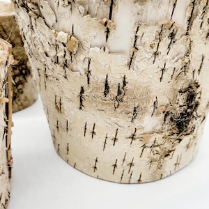 Wooden Birch Tree Plant Pots • Boho Farmhouse Planter Pot • Indoor ...