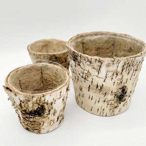 Wooden Birch Tree Plant Pots • Boho Farmhouse Planter Pot • Indoor ...
