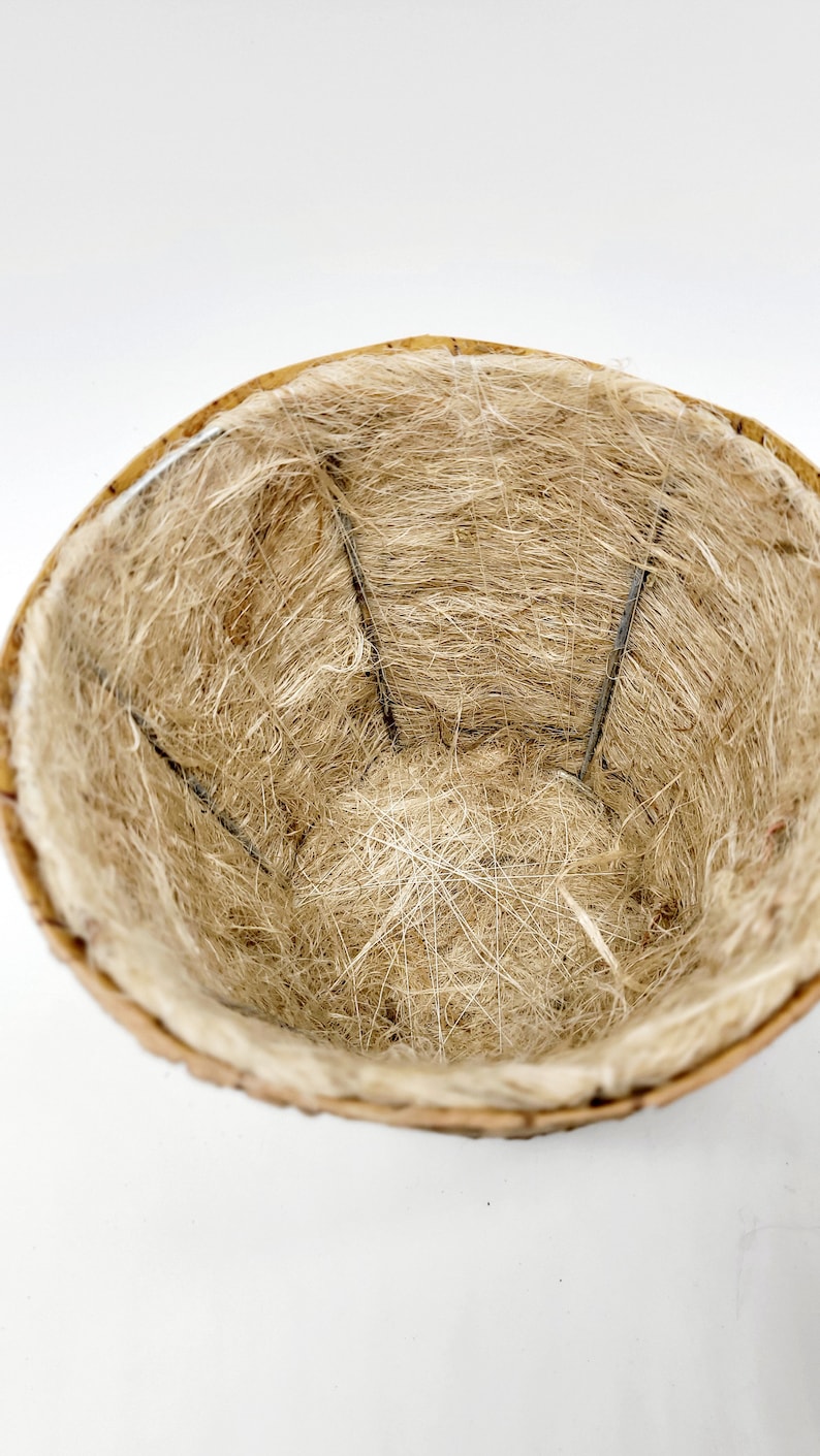 Wooden Birch Tree Plant Pots Boho Farmhouse Planter Pot - Etsy