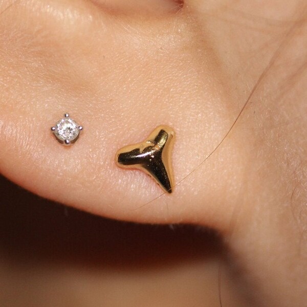 Shark Teeth Earrings - Etsy